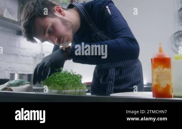 Male chef prepares to dish presentation for serving. The cook cuts ...