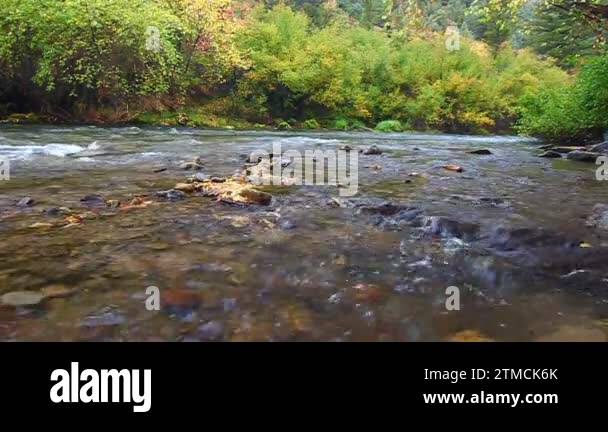 Cache river Stock Videos & Footage - HD and 4K Video Clips - Alamy