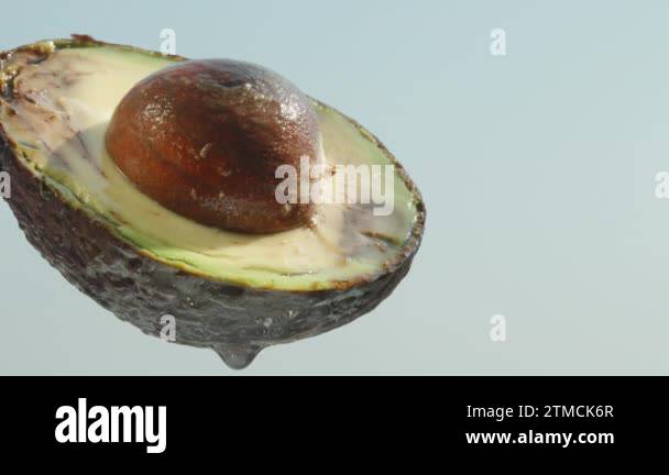 Bone water Stock Videos & Footage - HD and 4K Video Clips - Alamy