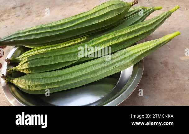 Luffa acutangula. Its other names angled luffa,Chinese okra,dish cloth ...