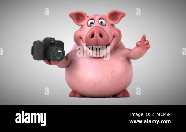 Pig and camera Stock Videos & Footage - HD and 4K Video Clips - Alamy