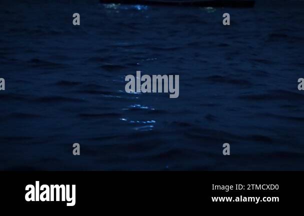 Norwegian ship fjords Stock Videos & Footage - HD and 4K Video Clips ...