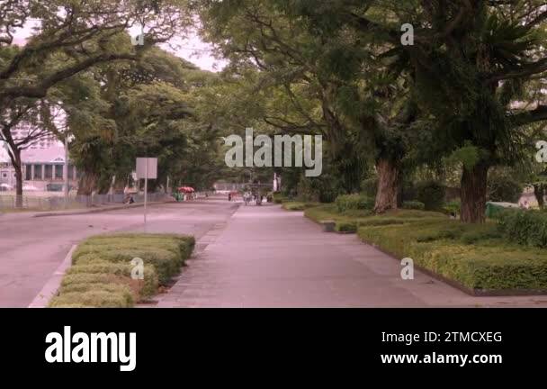 Trees natural park green environment Stock Videos & Footage - HD and 4K ...