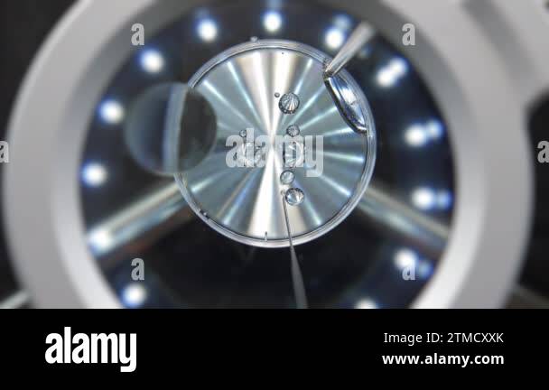 Seawater microscope Stock Videos & Footage - HD and 4K Video Clips - Alamy