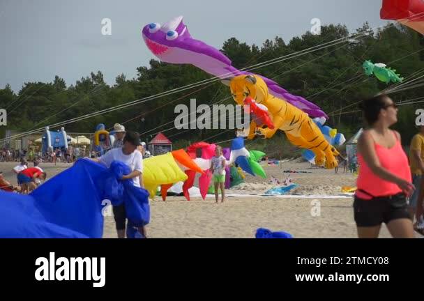 People at Kites Festival Leba Poland Colorful Kites Fish Tiger Shapes ...