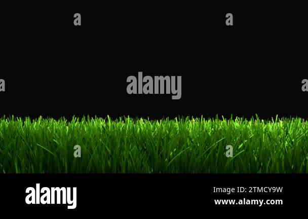 Green grass animation for lower 3rd, matte included Stock Video Footage ...