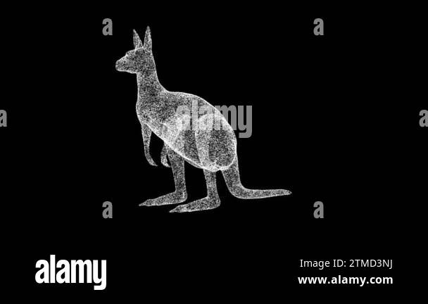 3D kangaroo rotates on black background. Object made of shimmering ...