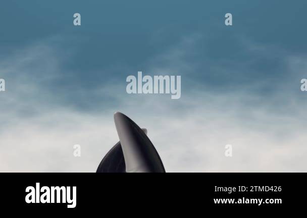 Shark fish fin Stock Videos & Footage - HD and 4K Video Clips - Alamy