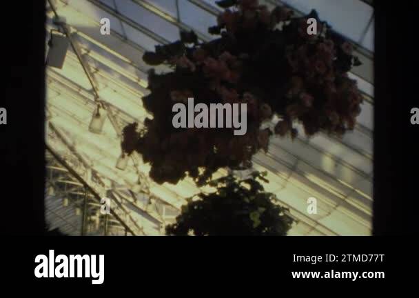 Fragile house Stock Videos & Footage - HD and 4K Video Clips - Alamy