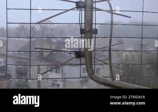 Frozen Raindrops on Grating of a Television Antenna on a Background of ...