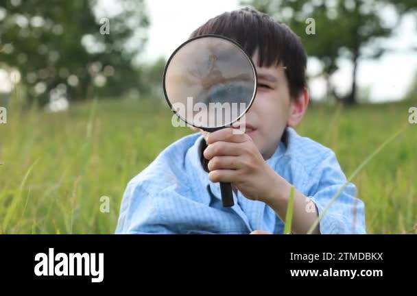 Magnifying glass lying on Stock Videos & Footage - HD and 4K Video ...
