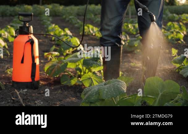 Farmer spraying pesticide sprayer garden farm vegetable garden spraying ...