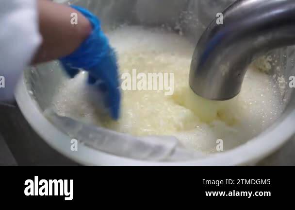 Worker controlling draining whey from tank into sieve at cheese factory ...