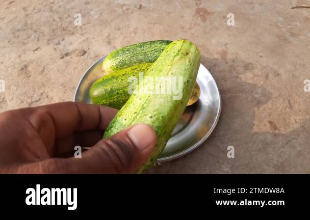 Vining Cucumber Varieties I am always amazed at the different varieties ...