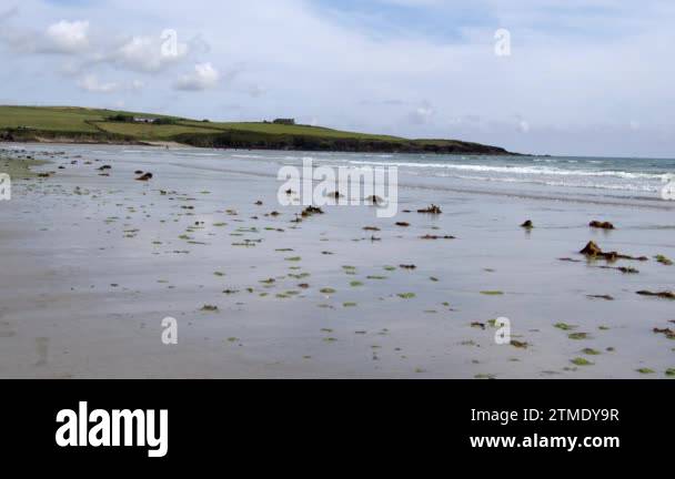 Wet summer day seaside Stock Videos & Footage - HD and 4K Video Clips ...