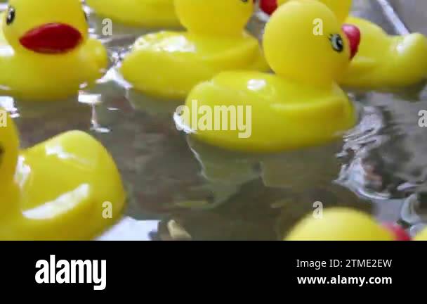Floating rubber duckies Stock Videos & Footage - HD and 4K Video Clips ...