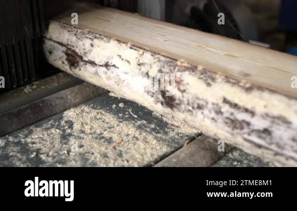 Wood loading Stock Videos & Footage - HD and 4K Video Clips - Alamy