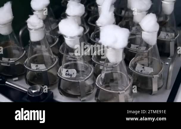 Lab bottles shaking liquid tissue microbial culture at shaker ...