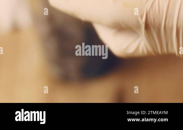 Close-up shot of unrecognizable male cook mincing champignons in ...