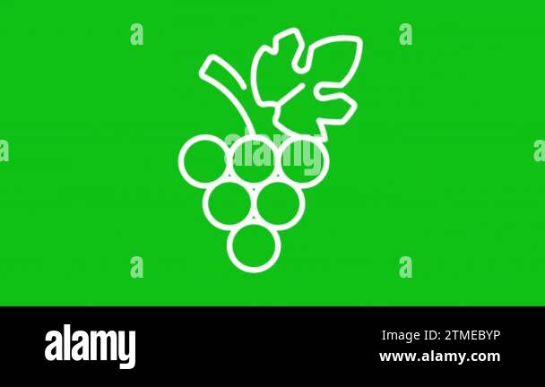 Bunch of grapes white line animation. Fresh fruit rich of vitamins. Raw ...