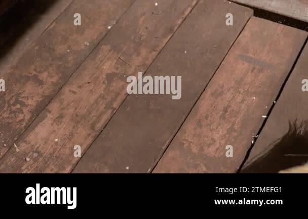 Person Sweeping an Old Dirty Wooden Floor with Broom in the Garage in ...
