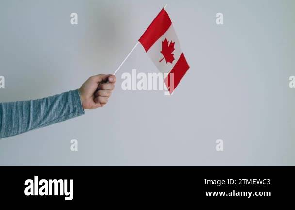 Male canada flag Stock Videos & Footage - HD and 4K Video Clips - Alamy
