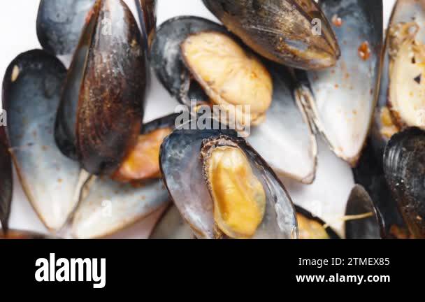 Open mussel shells Stock Videos & Footage - HD and 4K Video Clips - Alamy
