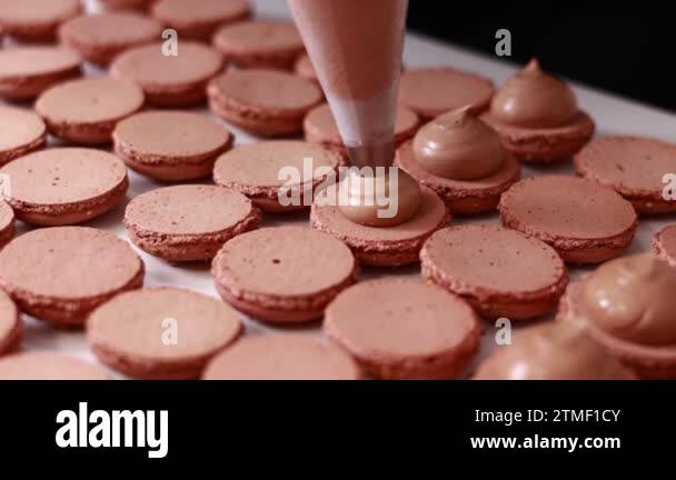 Making french desert macarons. Chef hands with confectionery bag add ...