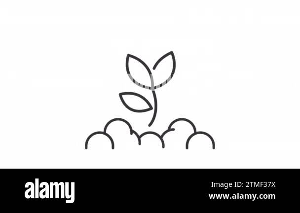 Seeding linear animation. Animated hand spreading seeds into soil ...