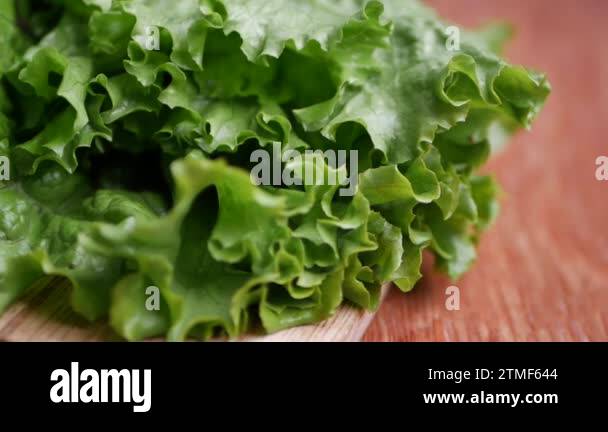 Wooden lettuce Stock Videos & Footage - HD and 4K Video Clips - Alamy