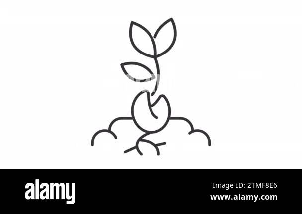 Seed germination line animation. Animated sprout growing from seed ...