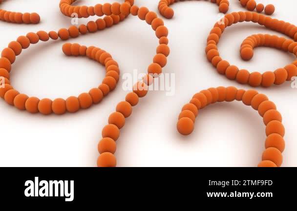 Aerobic bacteria, microbes Stock Video Footage - Alamy