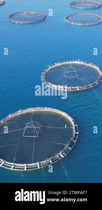 Fish enclosures aerial Stock Videos & Footage - HD and 4K Video Clips ...