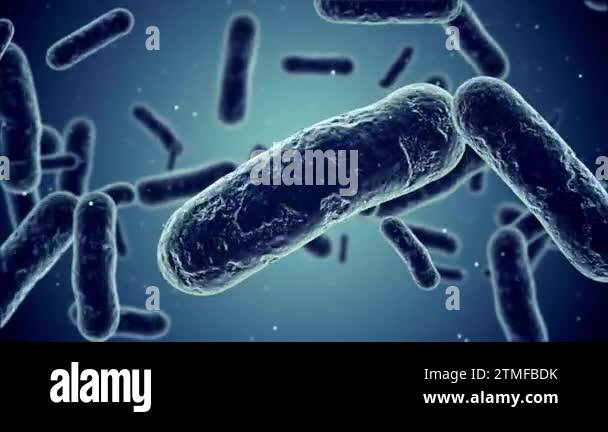 Electron microscope bacteria image Stock Videos & Footage - HD and 4K ...