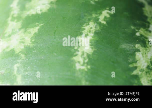 Moist texture Stock Videos & Footage - HD and 4K Video Clips - Alamy