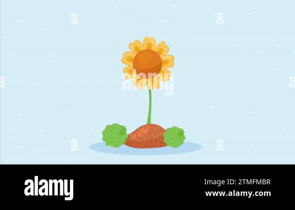 sunflower garden nature plant animation ,4k video animated Stock Video ...