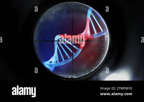 Genetically modified organisms gmos Stock Videos & Footage - HD and 4K ...