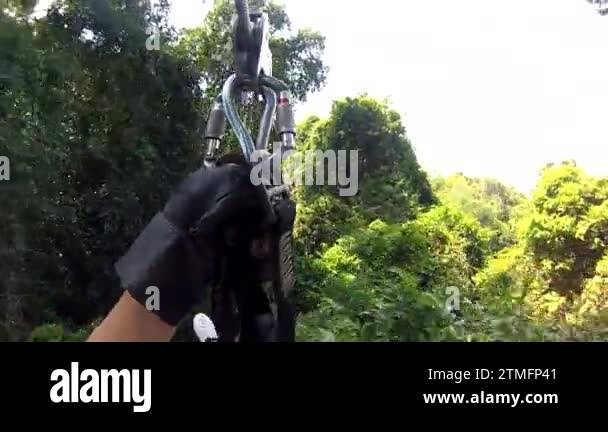 Tarzan slide Stock Videos & Footage - HD and 4K Video Clips - Alamy