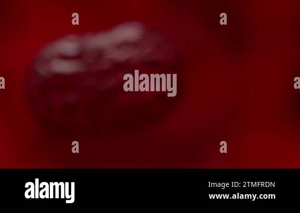 Blood under microscope Stock Videos & Footage - HD and 4K Video Clips ...