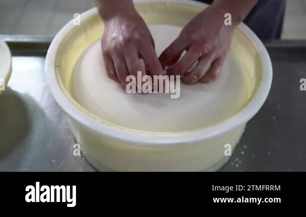cheese maker forming cheese into molds at the producing farm, putting ...
