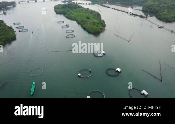 Fisheries on Luzon Island, Philippines. Fish farm, top view. Aerial ...