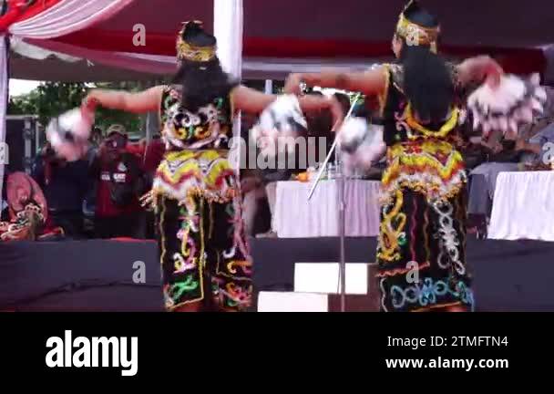 Indonesian perform enggang dance. This enggang dance depicts the daily ...