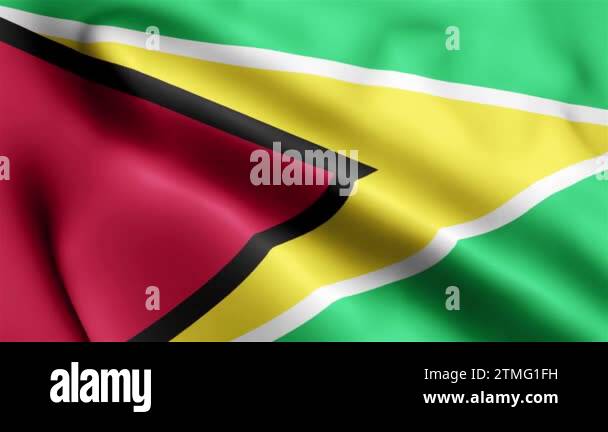 Guyana Flag video waving in wind. Guyana Flag Wave Loop waving in wind. Realistic Guyana Flag ...