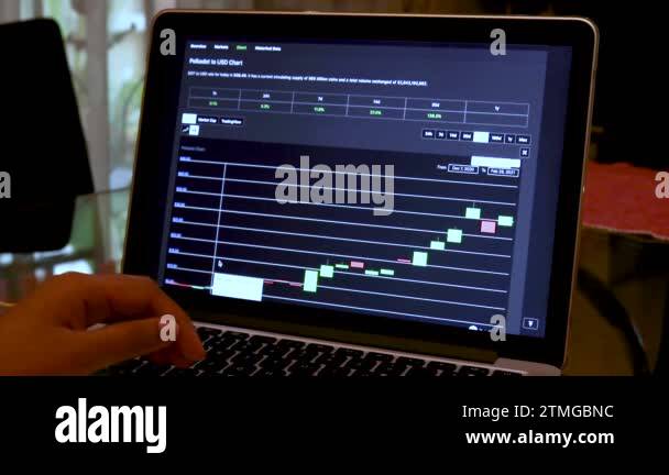Women going through DOT 90 days Candle Stick Charts on a Laptop Stock ...