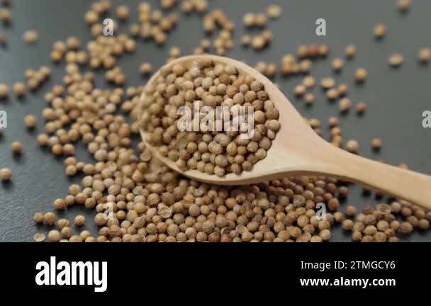 Aromatic seed Stock Videos & Footage - HD and 4K Video Clips - Alamy