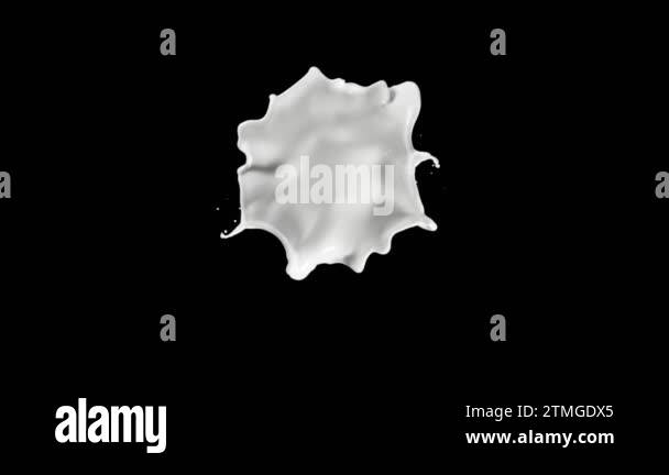 Realistic super slow motion of flying milk splash on black background ...