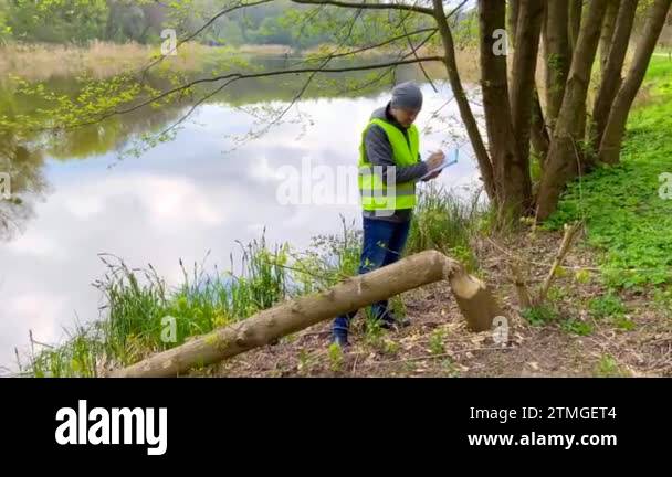 Birds control Stock Videos & Footage - HD and 4K Video Clips - Alamy