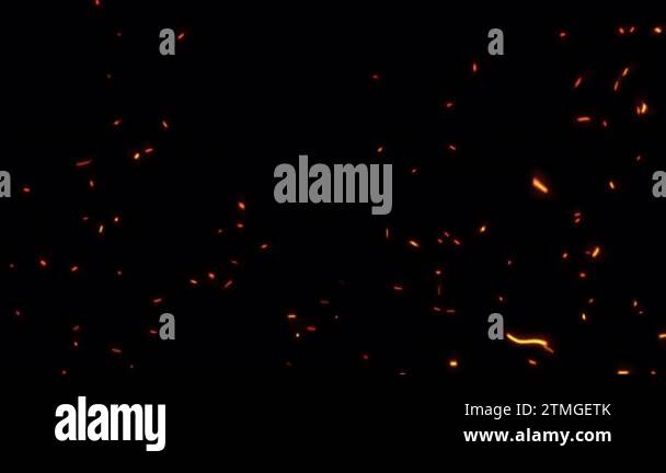 Animation loop flow up glow orange fire particles sparks rising up on black abstract background ...