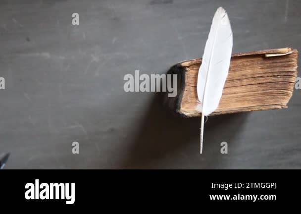 Courses offered Stock Videos & Footage - HD and 4K Video Clips - Alamy