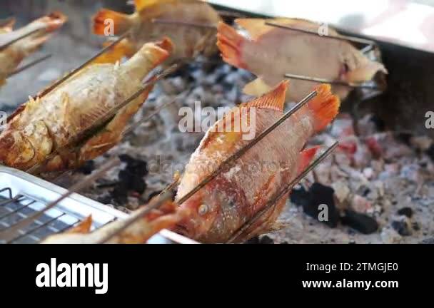Whole fish roasting machine, red fish grill with charcoal Stock Video ...